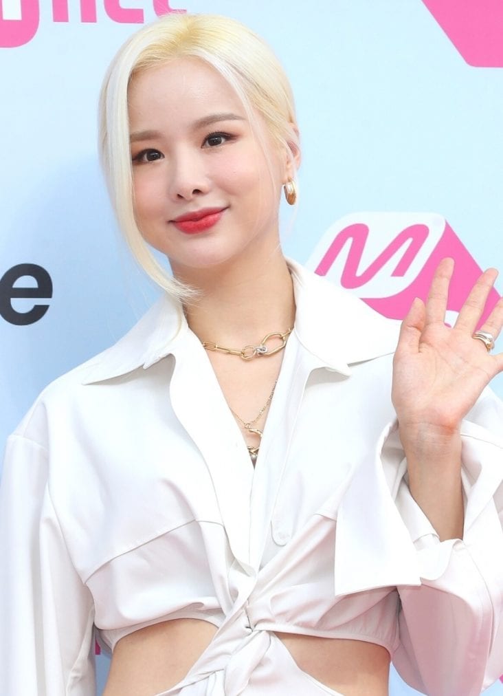 EXID’s Solji to Drop her First Solo Album in 14 Years - ZAPZEE ...