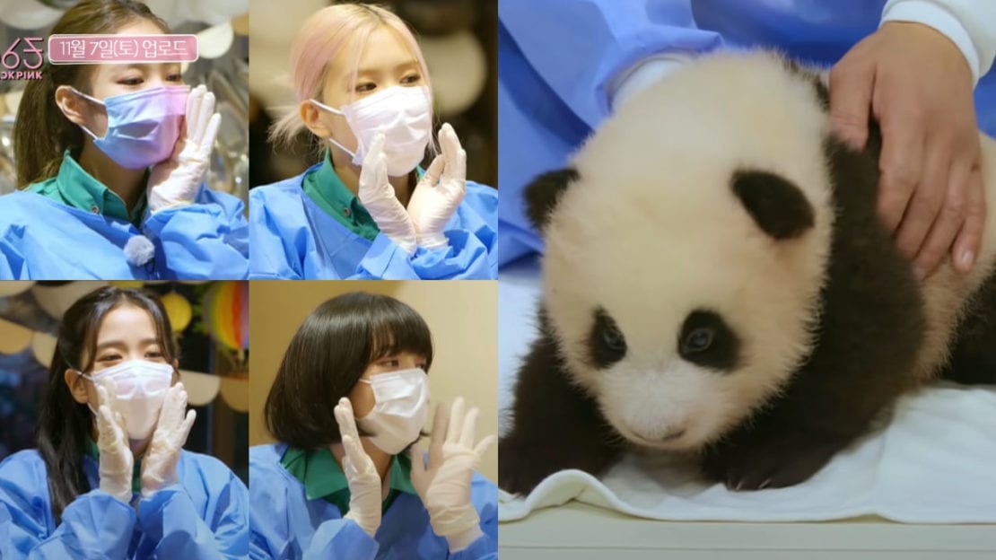 Reasons Why People Find Chinese Netizens' Anger over BLACKPINK Touching ...