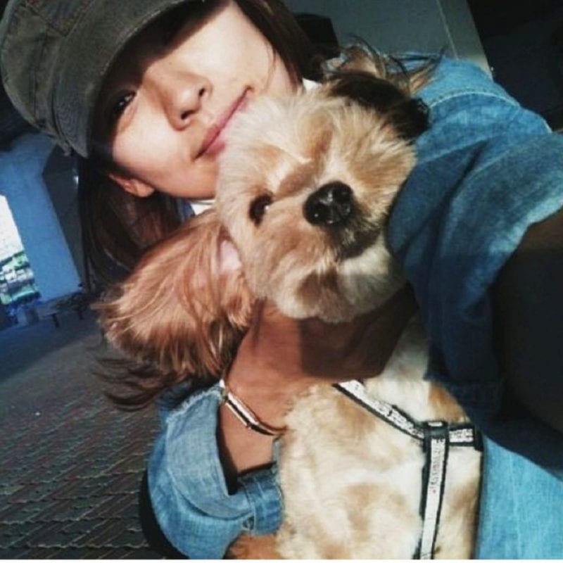 Lee Hyori Bids Farewell to Her Dog "Soonshim" - ZAPZEE - Premier Korean ...
