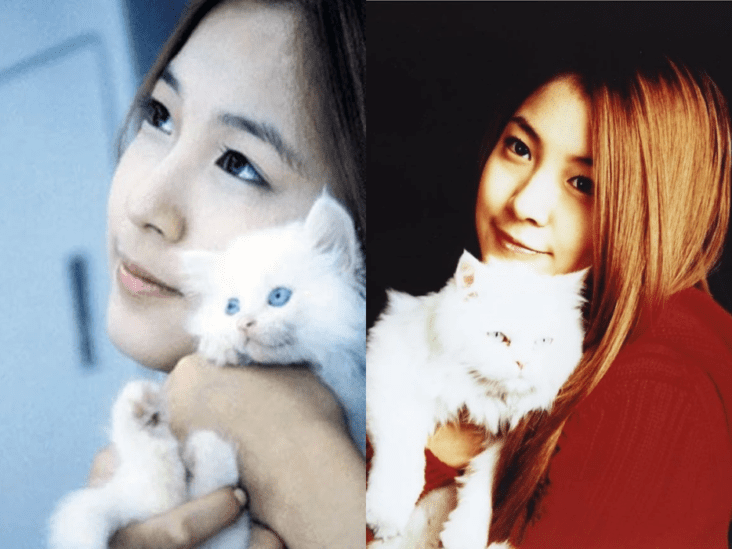 This Is How Far the Image-Making Goes in K-pop Scene: Reason Why BoA ...