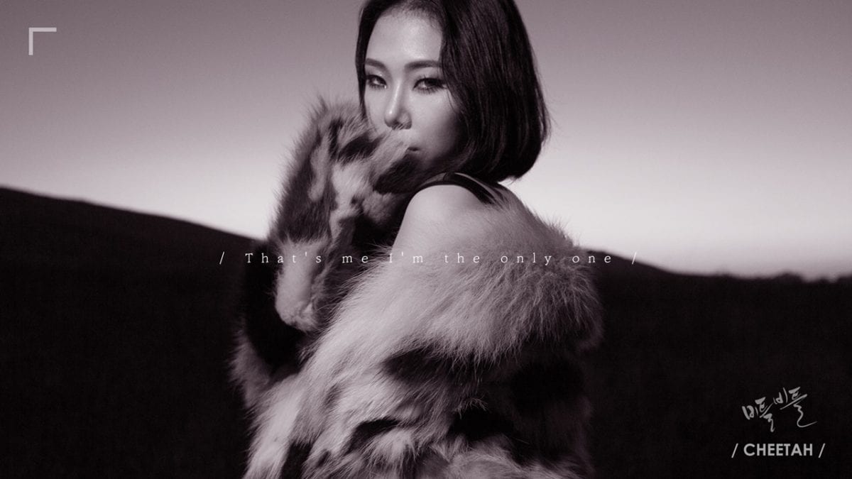 Cheetah Opens Up about Her Monthly Income on ‘Radio Show’ - ZAPZEE ...