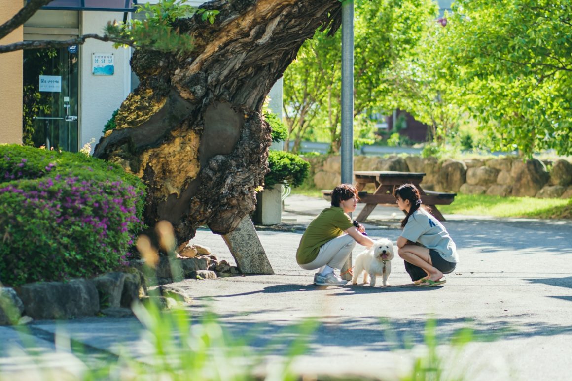 K-Drama Review: 'Summer Strike' Sympathetic Story, Yes, But Healing ...