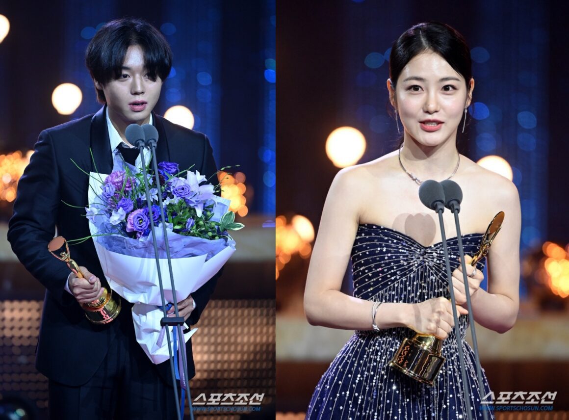 The 2nd Blue Dragon Series Awards Jury's Verdict: Park Ji Hoon and Shin ...
