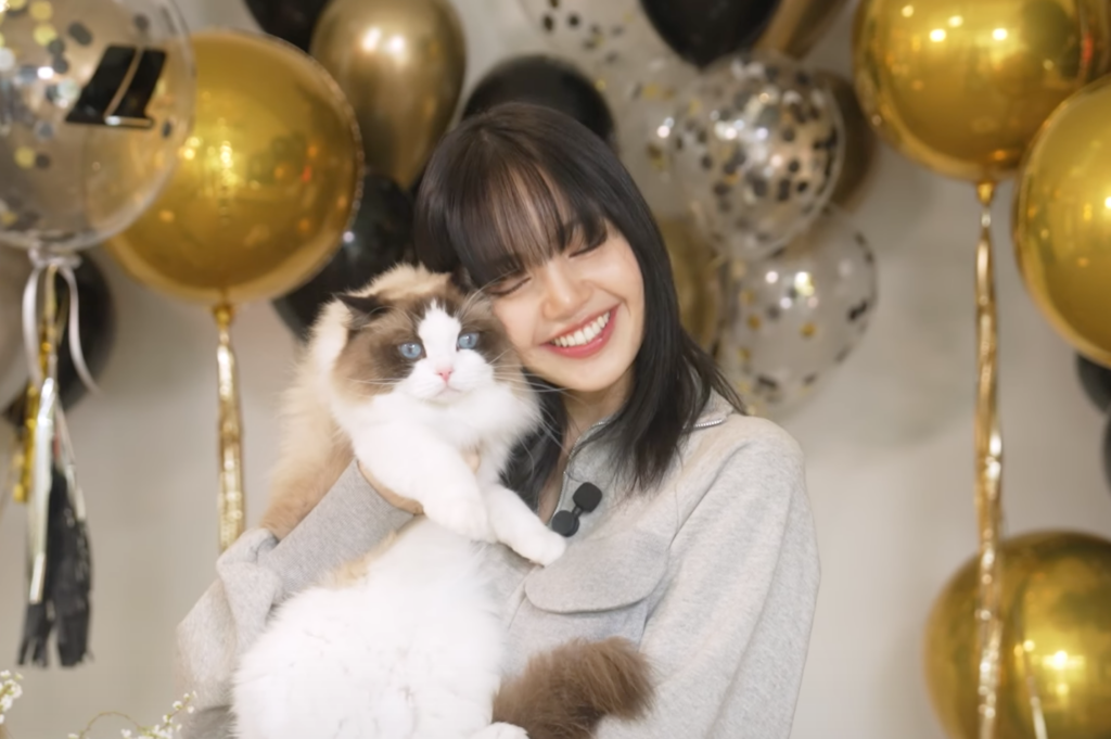 BLACKPINK's Lisa Gives Fans a Peek Inside Her Stunning Home - ZAPZEE ...
