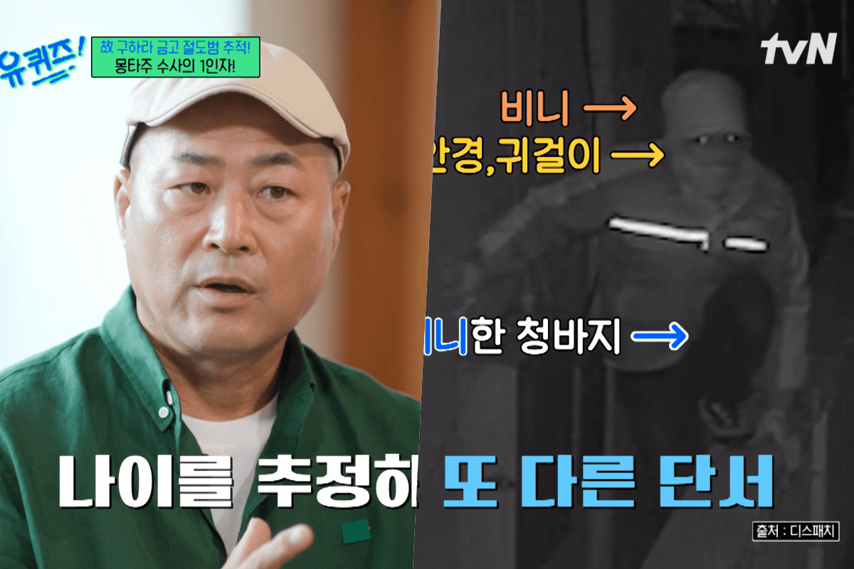 Detective Jeong Chang Gil Reveals Details on Goo Hara’s Safe Theft Case ...