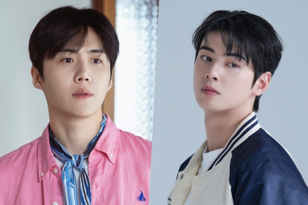 Kim Seon Ho vs. Cha Eun Woo: Why Their Agency Took Very Different ...