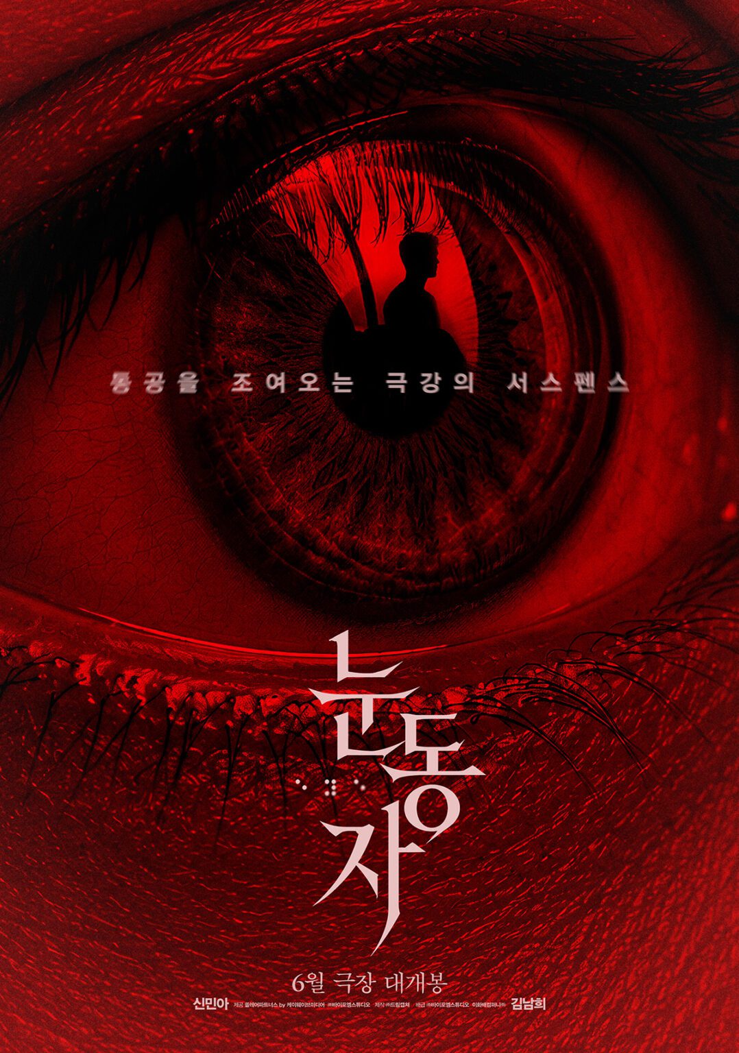 Shin Mina’s New Thriller 'The Eyes' Sets June Release With First Poster ...